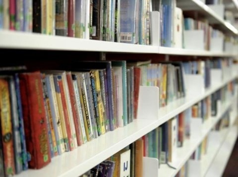 Sussex County libraries begin phased services | Sussex County